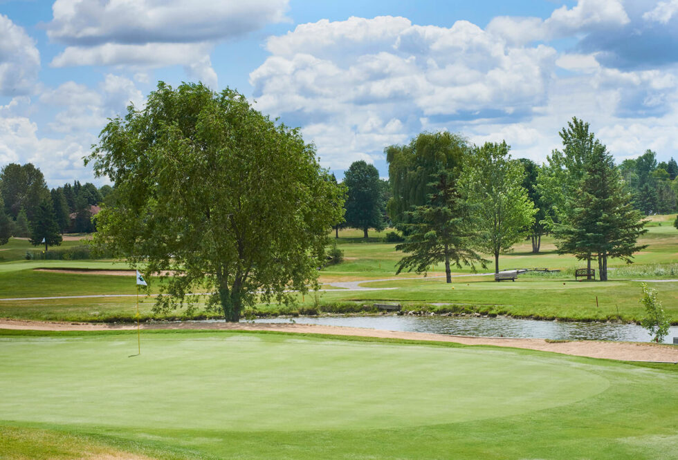 Golf Academy - Rotary Links